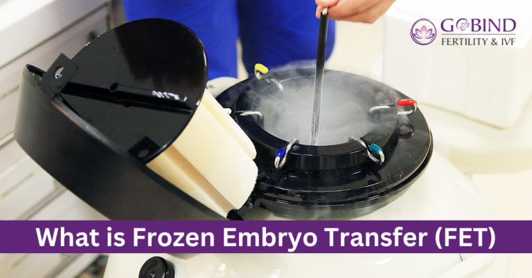 Frozen Embryo Transfer (FET): Procedure, Advantages & Disadvantages ...